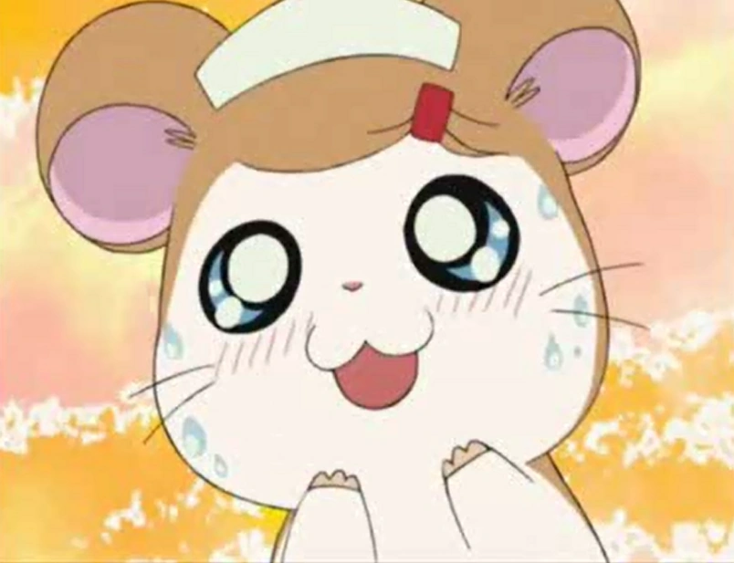 Flora's Wedding | The Hamtaro Wiki | Fandom