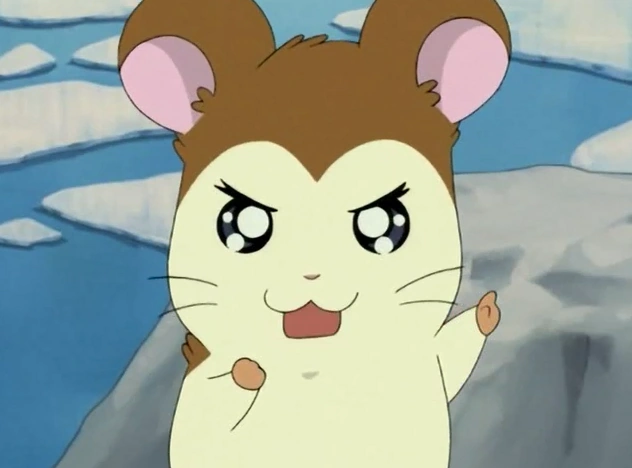 Image - 23106.png | The Hamtaro Wiki | FANDOM powered by Wikia