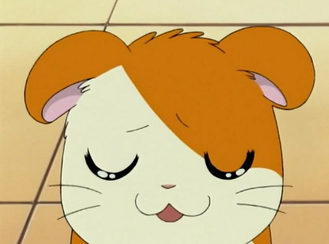 Image - 25074.png | The Hamtaro Wiki | FANDOM powered by Wikia