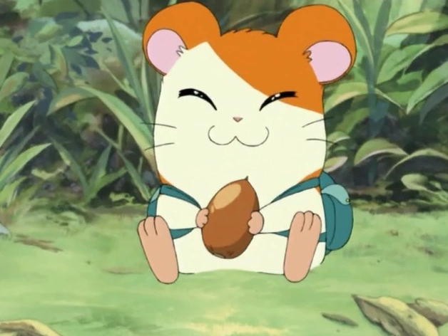 Image - 15084.png | The Hamtaro Wiki | FANDOM powered by Wikia