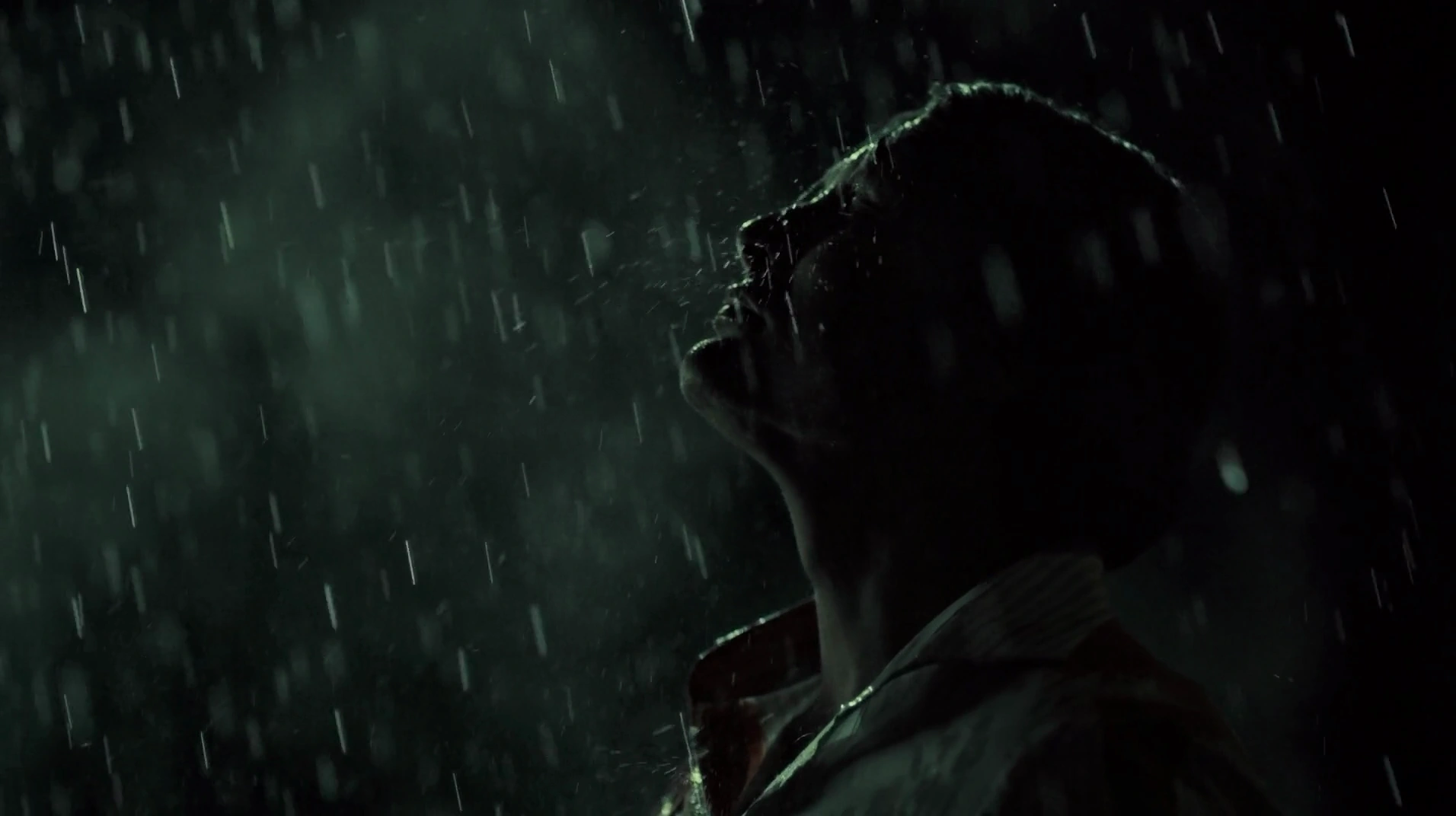 Image - Hannibal S02E13 Mizumono14.png | Hannibal Wiki | FANDOM powered ...