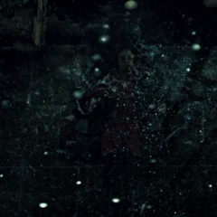 Mizumono | Hannibal Wiki | Fandom