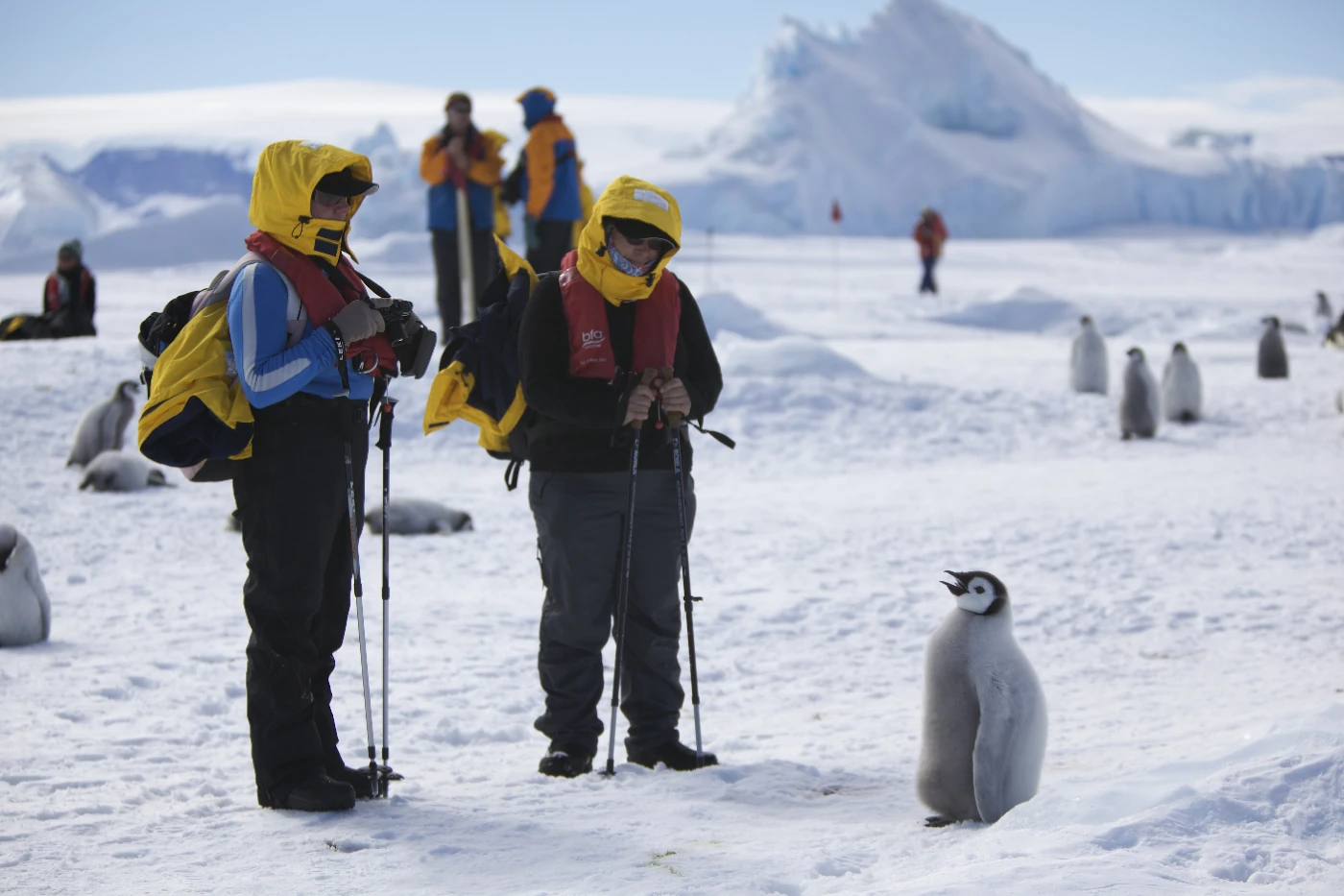 Humans/Gallery | Happy Feet Wiki | FANDOM powered by Wikia