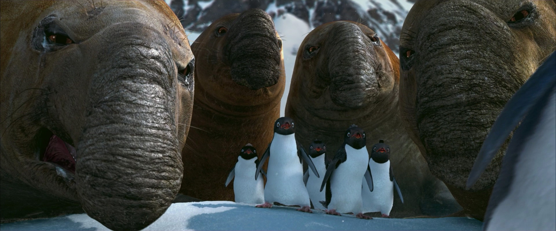 Barry | Happy Feet Wiki | Fandom Barry | Happy Feet Wiki | Fandom