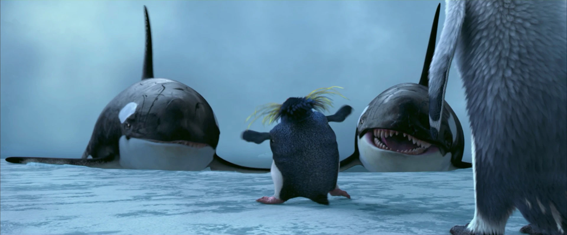 Image - Happy-feet-disneyscreencaps.com-9019.jpg | Happy Feet Wiki ...