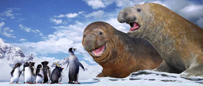 Happy Feet Wiki | FANDOM powered by Wikia