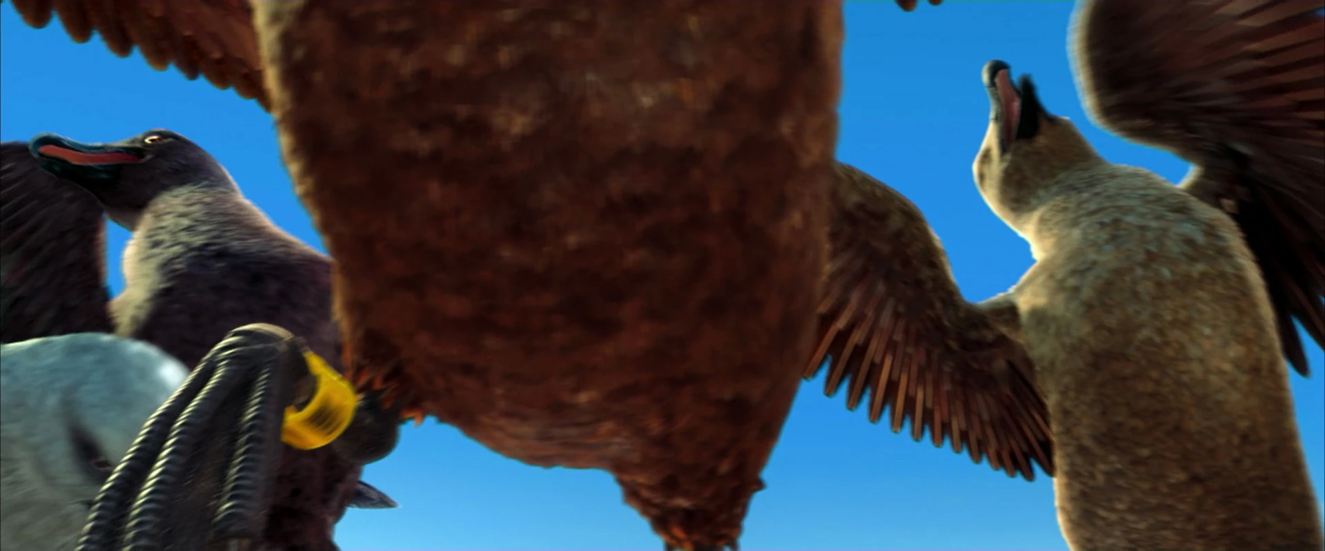 Image - Happy-feet-disneyscreencaps.com-2292.jpg | Happy Feet Wiki ...