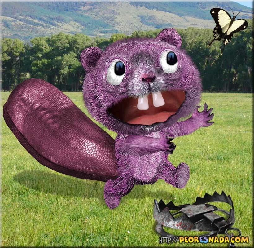 Image - Real htf toothy.jpg | Happy Tree Friends Wiki | FANDOM powered ...