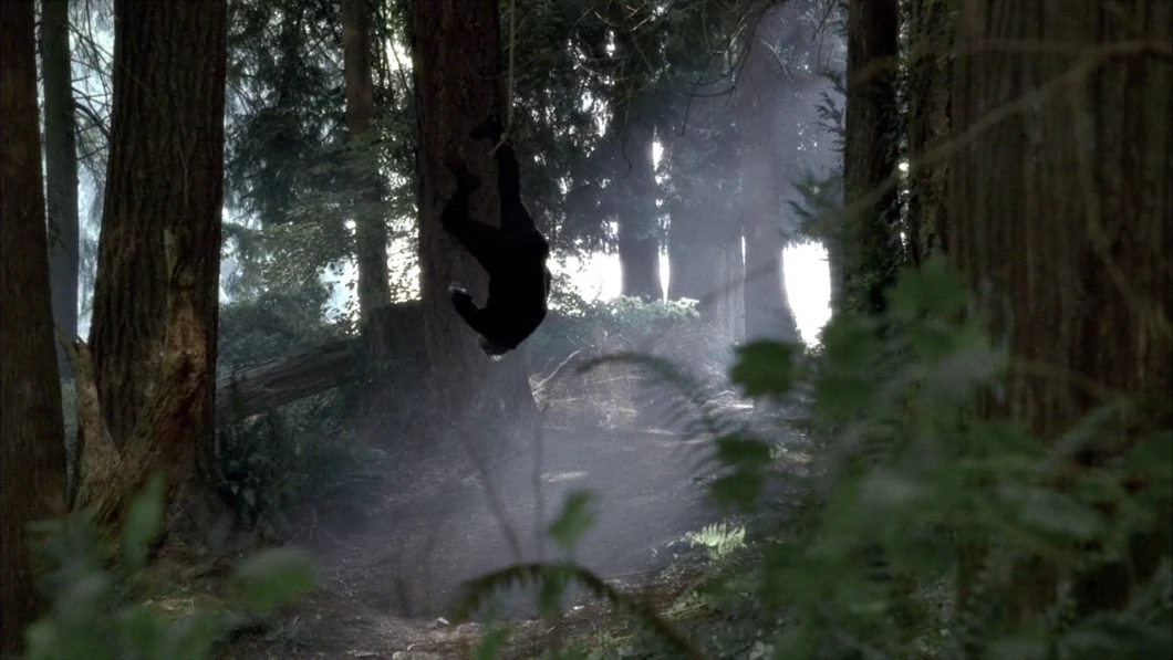 Image - 1x02 - Fain's Death.jpg | Harper's Island Wiki | FANDOM powered ...