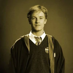 Ernie Mcmillan | Harry/Albus Potter Wiki | Fandom