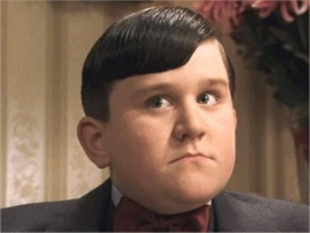 Image - Dudley Dursley.jpg | Harry Potter Wikia | FANDOM powered by Wikia