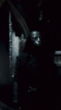 Gibbon | Harry Potter Wiki | Fandom