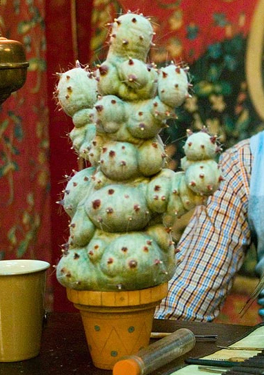 Mimbulus mimbletonia | Harry Potter Wiki | FANDOM powered by Wikia