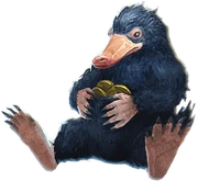 Niffler | Harry Potter Wiki | Fandom