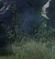 Wormwood | Harry Potter Wiki | Fandom