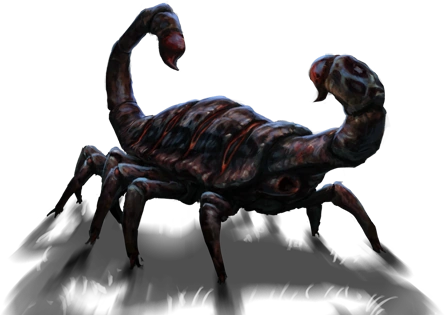 Scroutt à pétard | Wiki Harry Potter | Fandom