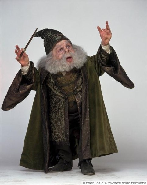 Filius Flitwick | Wiki Harry Potter | FANDOM powered by Wikia