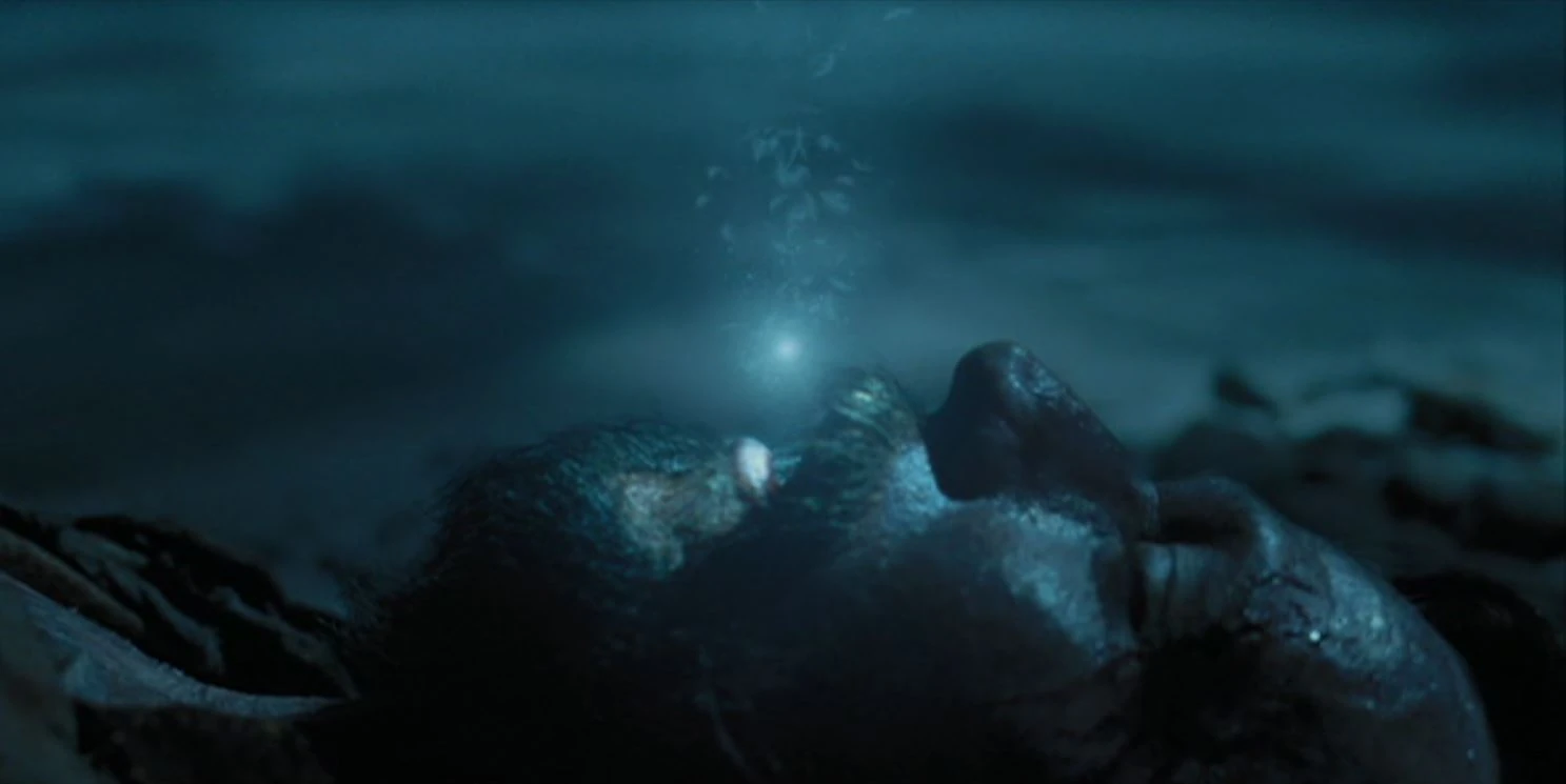 Baiser du Détraqueur | Wiki Harry Potter | Fandom