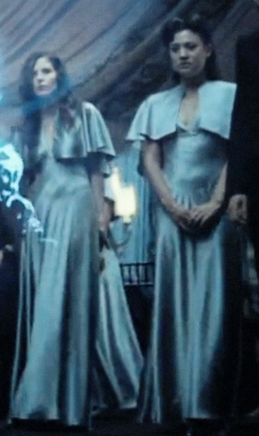 Delacour Sisters Cousins Harry Potter Wiki Fandom Powered By Wikia
