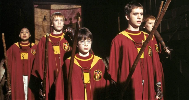 Image - Gryffindor team.jpg | Harry Potter Wiki | FANDOM powered by Wikia