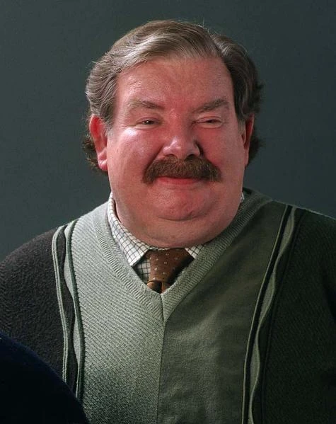 Categoria:Famiglia Dursley | Harry Potter Wiki | Fandom