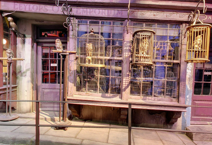 Verity Harry Potter Wiki Fandom Powered By Wikia Verity Harry Potter Wiki Fandom Powered By Wikia