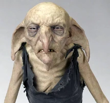 Dobby | Harry Potter Wiki | FANDOM powered by Wikia