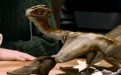 Norberta | Harry-Potter-Lexikon | FANDOM powered by Wikia