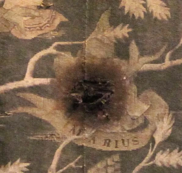 Marius Black | Harry Potter Wiki | Fandom