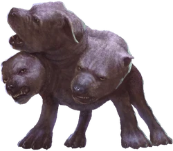 Three-headed dog | Harry Potter Wiki | Fandom