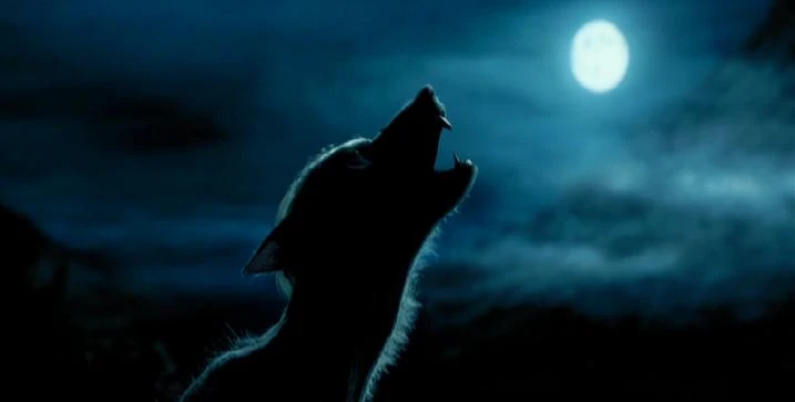 Image - Werewolf1.jpg | Harry Potter Wiki | FANDOM powered by Wikia