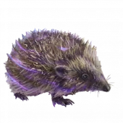Knarl | Harry Potter Wiki | Fandom