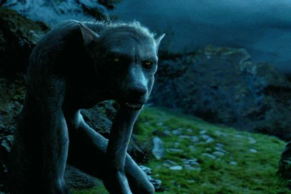 Weerwolf | Harry Potter Wiki | FANDOM powered by Wikia