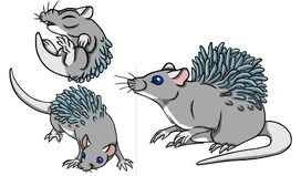 Murtlap | Harry Potter Wiki | FANDOM powered by Wikia