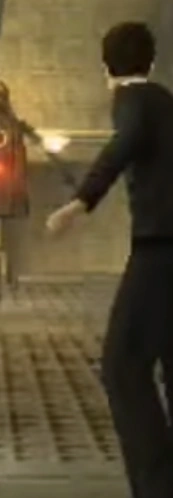 Stupefy Duo | Harry Potter Wiki | Fandom