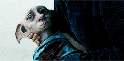 Bild - Dobby dies1.gif | Harry-Potter-Lexikon | FANDOM powered by Wikia