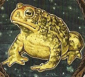 Toad | Harry Potter Wiki | FANDOM powered by Wikia