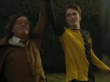 Catégorie:Famille Diggory | Wiki Harry Potter | FANDOM powered by Wikia