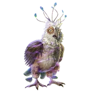 Augurey | Harry Potter Wiki | Fandom