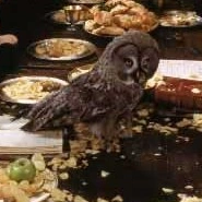 Errol | Harry Potter Wiki | FANDOM powered by Wikia