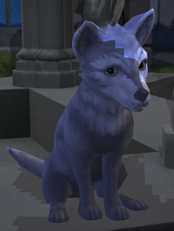 Borf | Harry Potter Wiki | Fandom