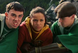 Marcus Flint | Harry Potter Wiki | Fandom