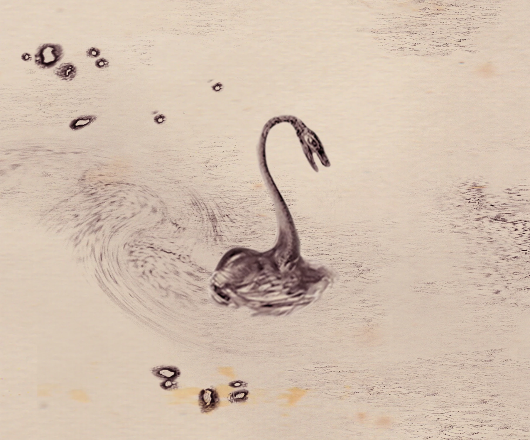 Loch Ness Monster | Harry Potter Wiki | Fandom