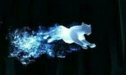 Patronus Charm | Harry Potter Wiki | FANDOM powered by Wikia