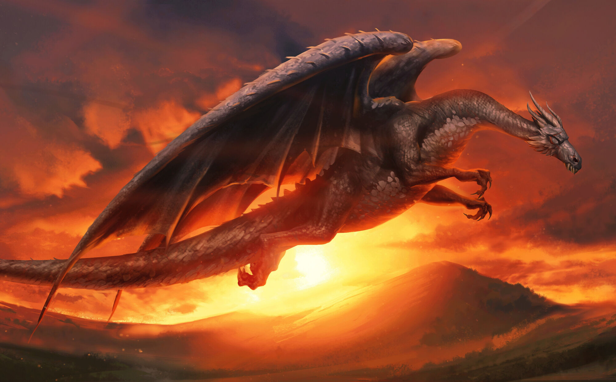 Dragon | Wiki Harry Potter | Fandom
