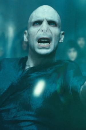 Image - Lord Voldemort.JPG | Harry Potter Wiki | FANDOM powered by Wikia