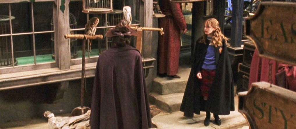 Hermione Grangers Mother Harry Potter Wiki Fandom Powered By Wikia
