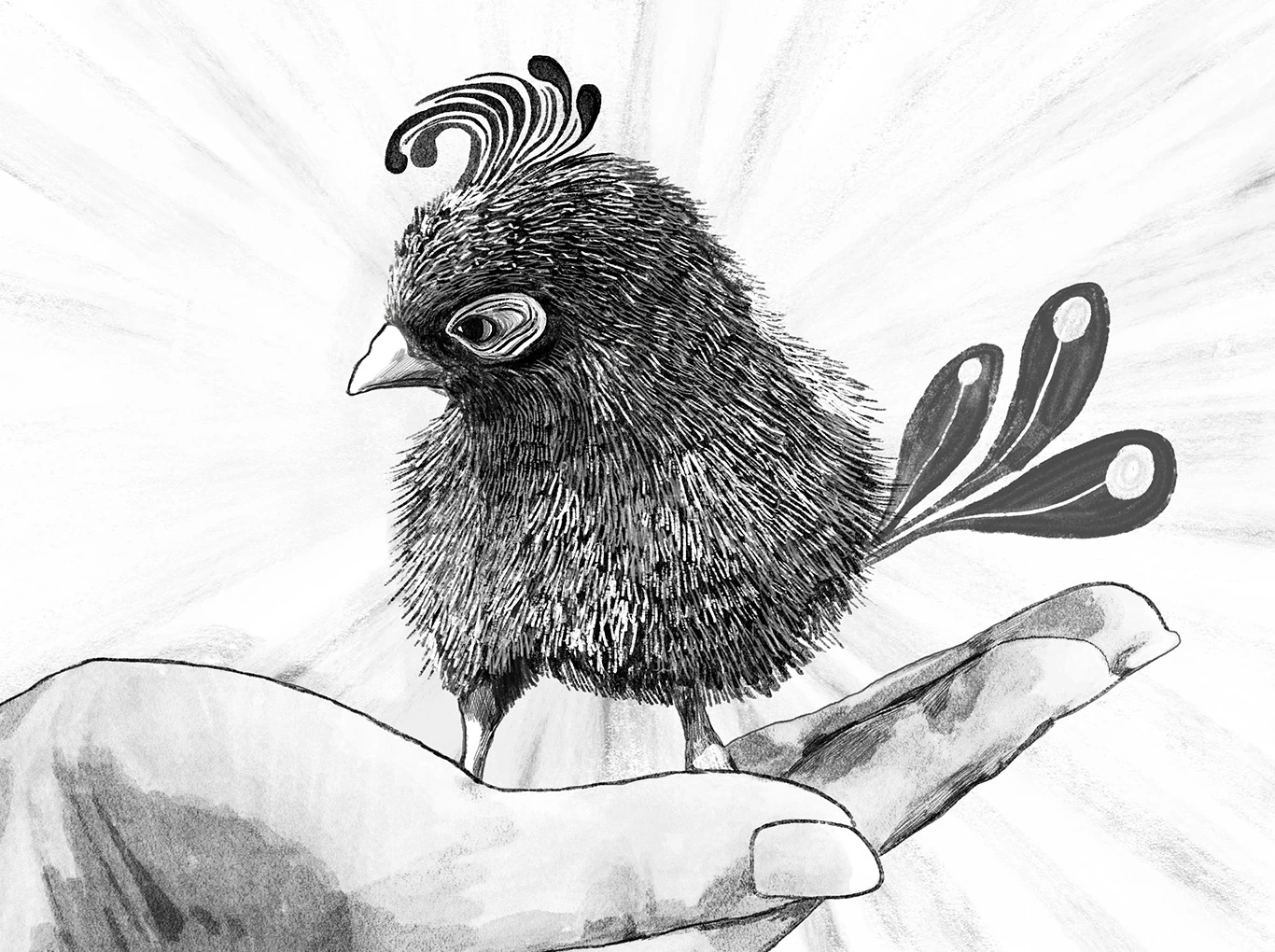 Hoo-hoo | Wiki Harry Potter | Fandom