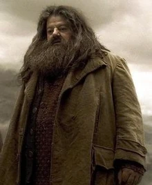 Rubeus Hagrid | Harry Potter Wiki | Fandom