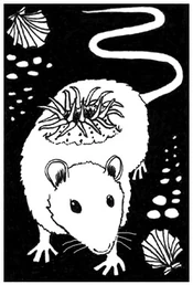 Murtlap | Harry Potter Wiki | FANDOM powered by Wikia